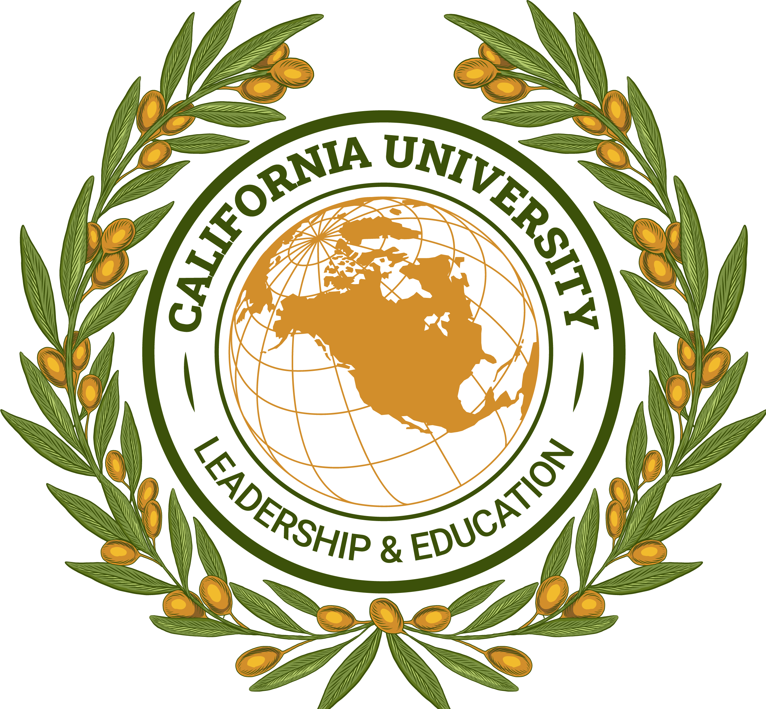 California University – Authentic Project Based Leadership and Education